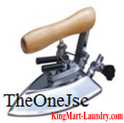 STAINLESS STEEL FULL STEAM IRONS